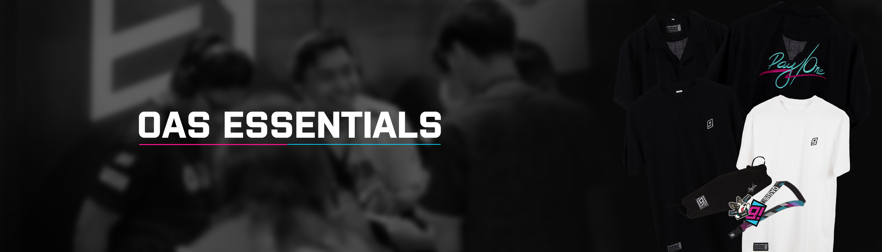 OAS Essentials – Oasis Gaming